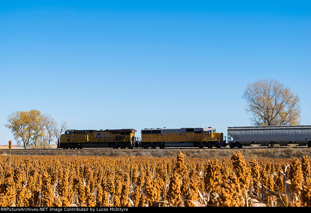 UP 8041 northbound UP manifest train